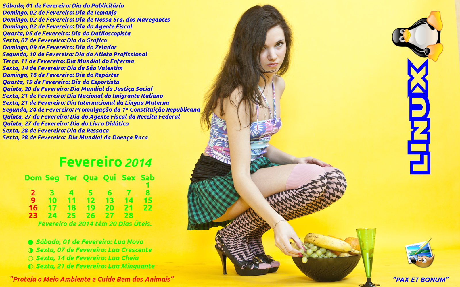 superlinuxmg-br: janeiro 2014